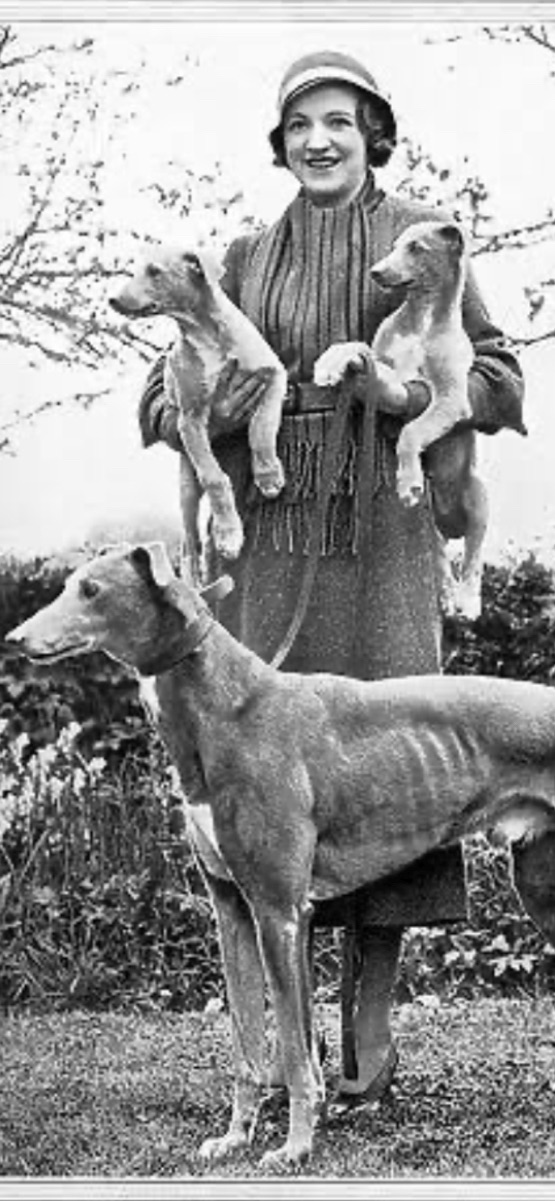 Legend of Mick The Miller . – My Houndbound life